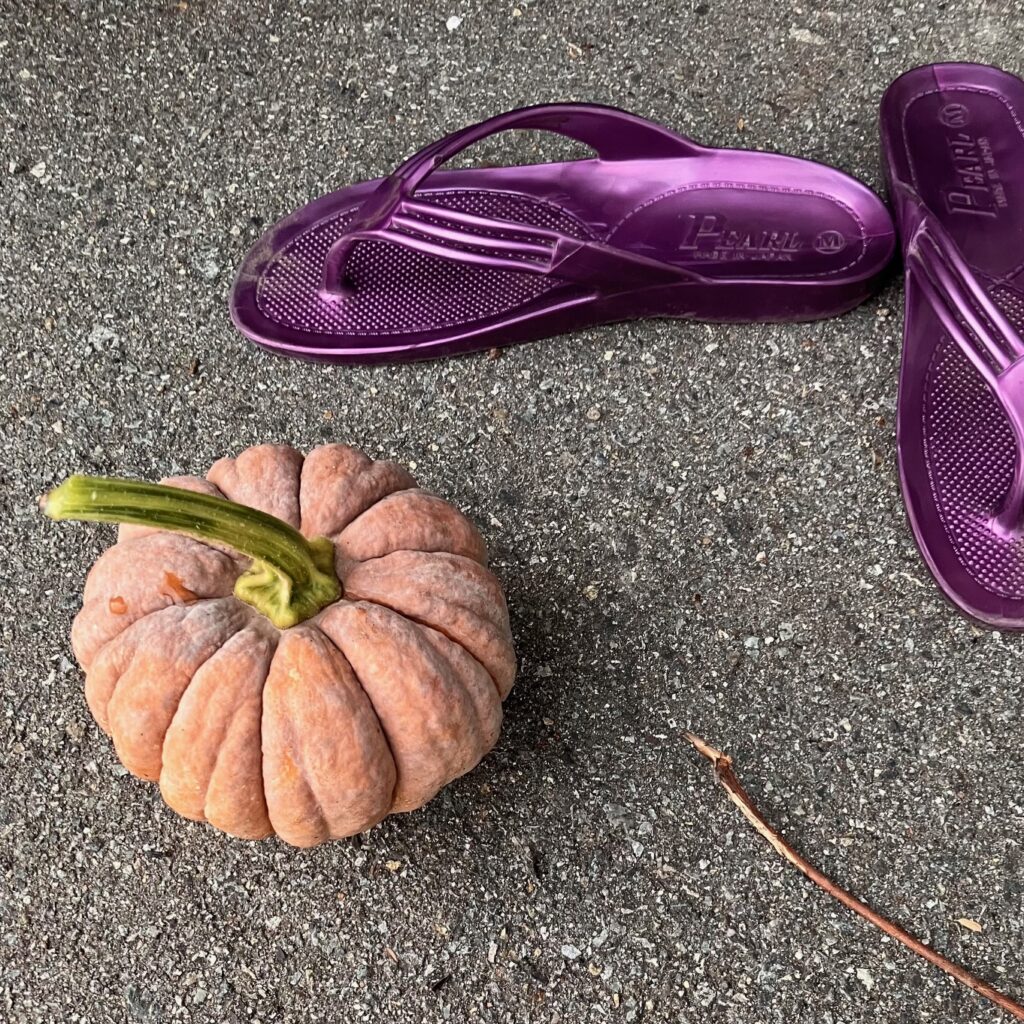 白菜 | keyaki.life